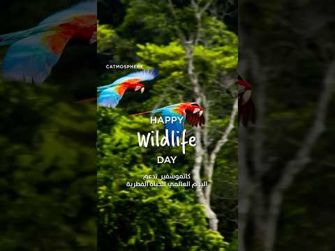 World Wildlife Day 🌍🐾