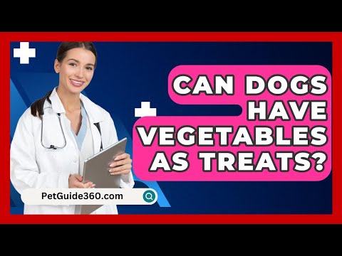 Can Dogs Have Vegetables As Treats? - PetGuide360.com
