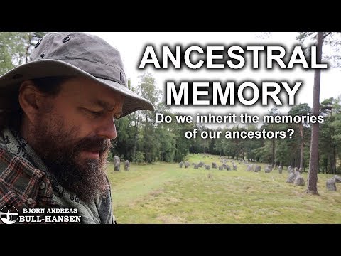 Do We Inherit Our Ancestors' Memories? Epigenetics and Genetic Memory in the DNA of Mammals