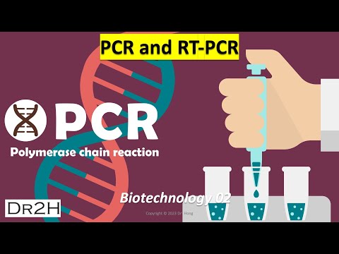 Dr. Hong's Biotechnology Lecture 02: PCR and RT-PCR