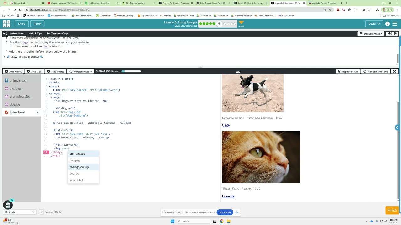 CSD Unit 2: Lesson 8 - Using Images (25-26)