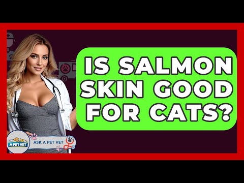 Is Salmon Skin Good For Cats? - Ask A Pet Vet