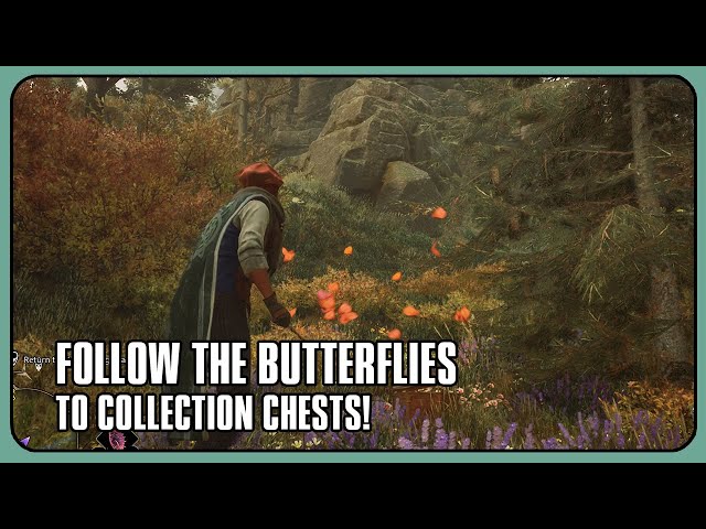 Follow the Butterflies: Hogwarts Legacy walkthrough: How to complete Follow the Butterflies side ...
