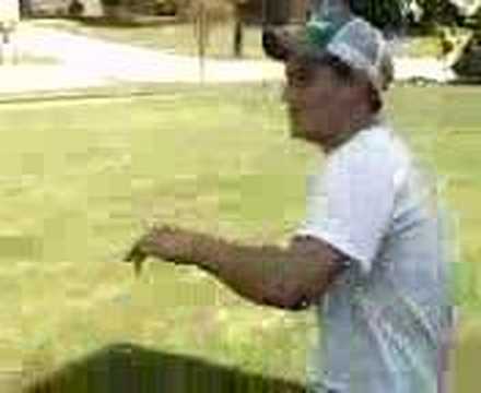 Death By Lawn Darts