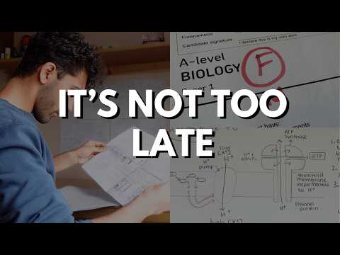 wasted the half term? Here's EXACTLY What to Do Now...