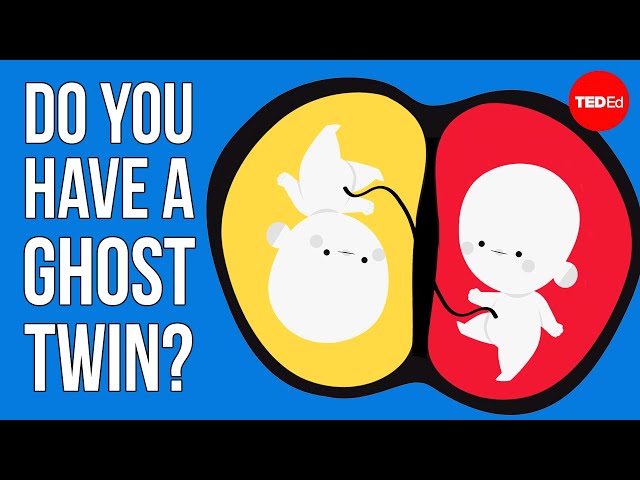 The Mystery of Chimerism: How a Woman Discovered She Had a Secret Twin ...