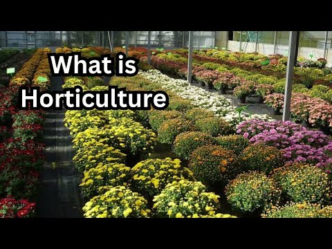 What is Horticulture? Definition, Introduction & scope