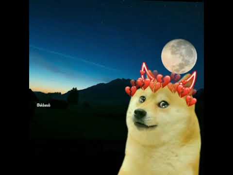 Dog Meme Template // Facebook Viral meme Template #facebook #capcut #templetevideos