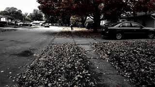 Back Home streaming: where to watch movie online?