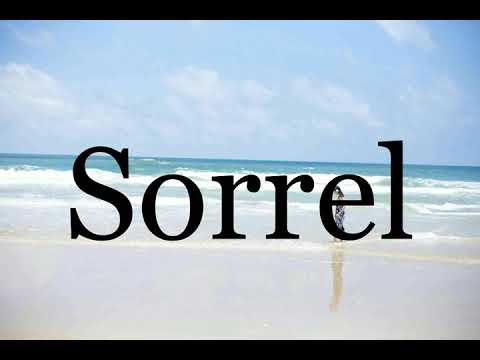 How To Pronounce Sorrel🌈🌈🌈🌈🌈🌈Pronunciation Of Sorrel