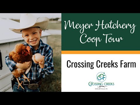 Meyer Hatchery Coop Tour - Crossing Creeks Farm!