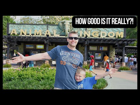 Disney's Animal Kingdom All Best Rides & Attractions | Full Tour Guide - Walt Disney World