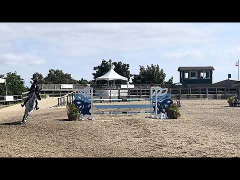 25. Ella and Figg Blac 1st Open 1.20m at Woodside Horse Park