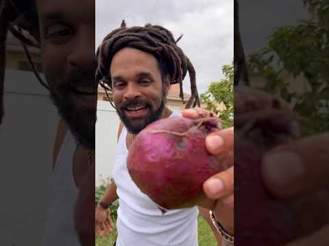 🍠How I Grew FREE Purple Sweet Potatoes… #food
