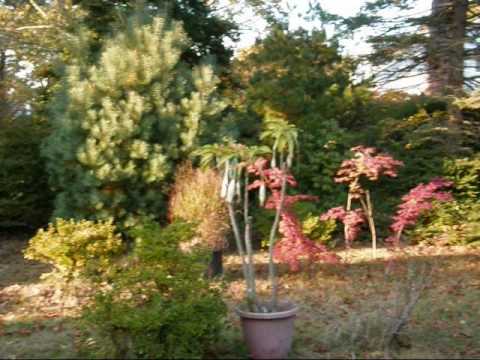 Video Tour of House on Sterling Avenue, East Patchogue, Long Island, New York