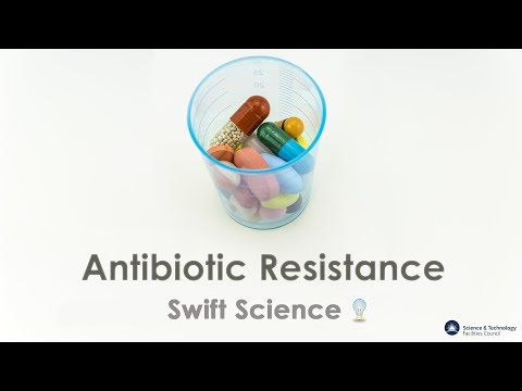 What is Antibiotic Resistance? Swift Science