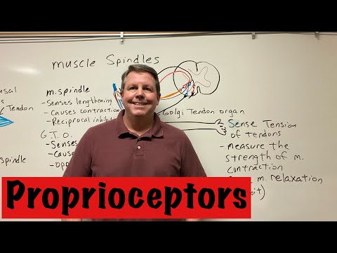 Proprioceptors