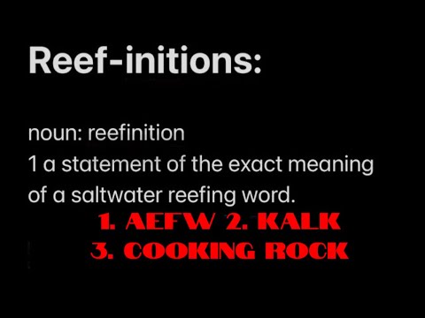 Reef-initions 8
