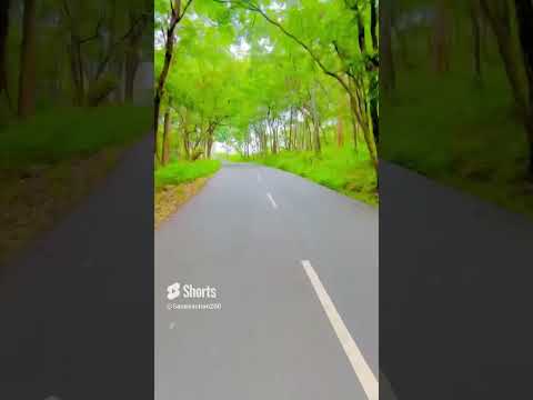 S 42 M T M 🌿🌴🌱 #shorts #palakkad #alathur