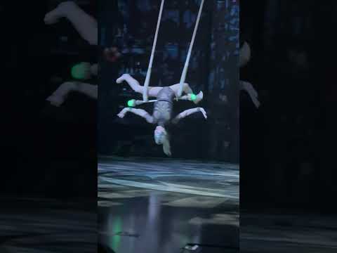 POV: You're a trapeze artist | Cirque du Soleil