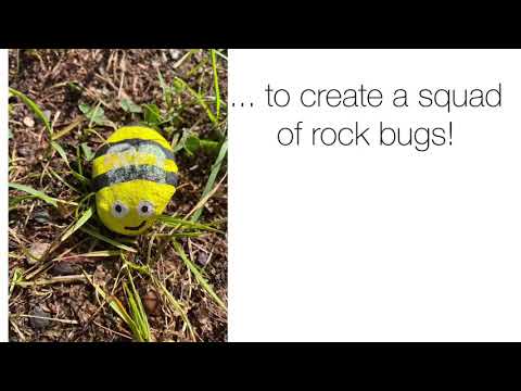 DIY Painted Rock Bugs