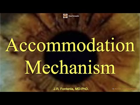 Accommodation Mechanism.