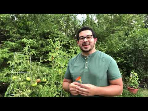 Online Counseling | The Importance of Mindfulness | Makin Wellness