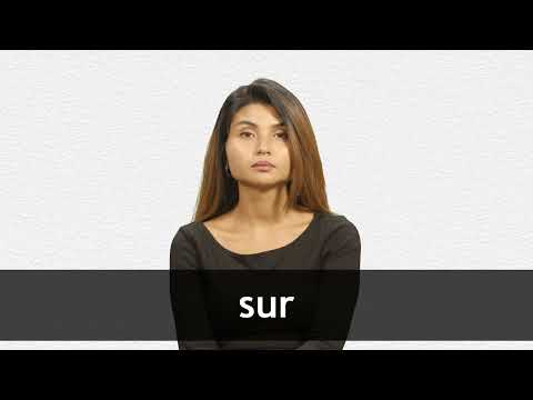 English Translation of “SUR” | Collins Spanish-English Dictionary