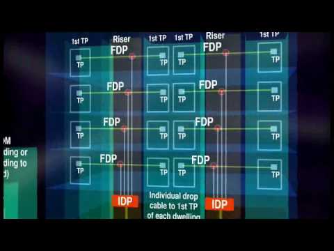 OpenNet fiber optics | Sun Yudong's Science E-portfolio