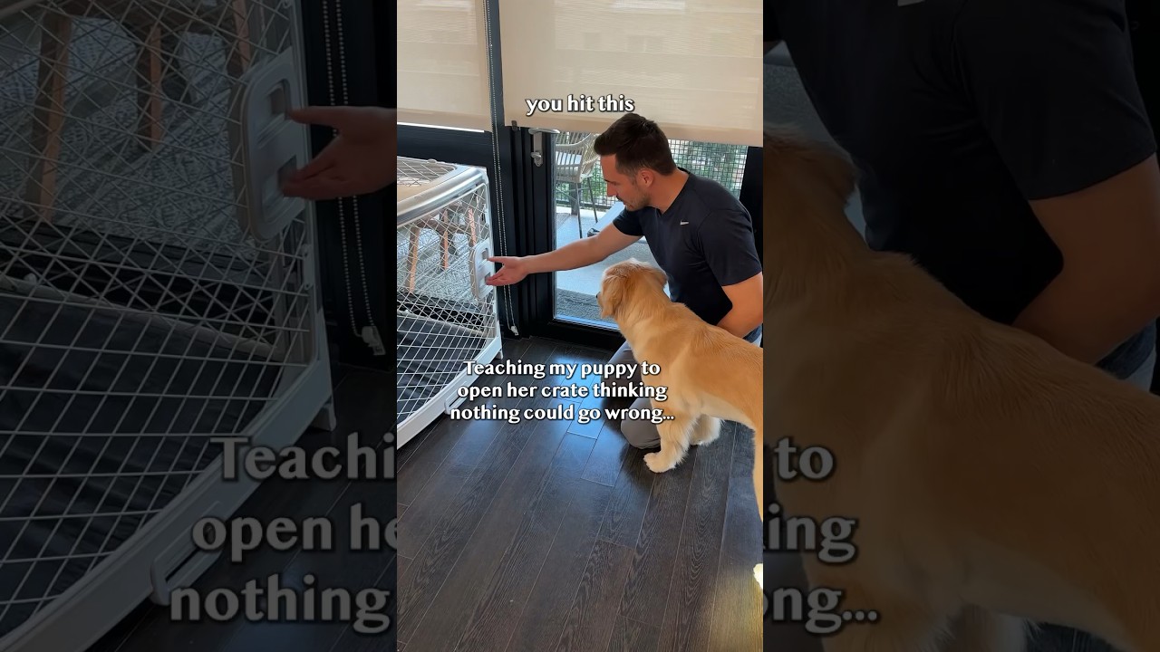 Not again! I made a BIG training mistake 😬