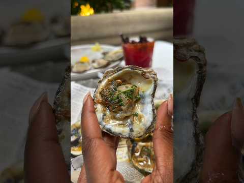 🦪THE BEST $1.50 OYSTERS during Happy Hour📍 Margueax’s Oyster Bar in Houston, TX. #shorts