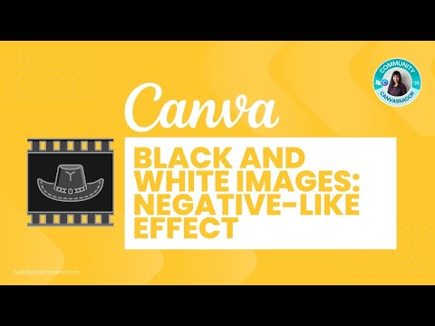 How to Make an Image Black and White in Canva to Get a Negative-Like Effect