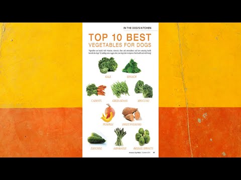 What Vegetables Can Dogs Eat?🐶 Top10 best vegetables for dogs #DogFoodFirst