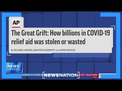 Here’s how billions in COVID relief funds were stolen or wasted | The Hill
