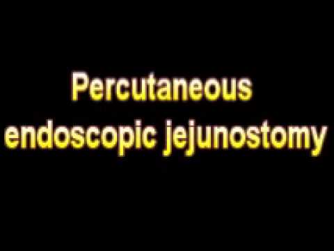 What Is The Definition Of Percutaneous endoscopic jejunostomy Medical School Terminology Dictionary