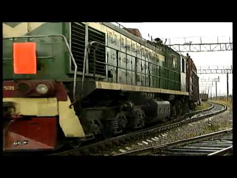 International Paper in Russia