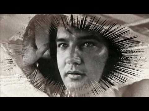 Mister Songman - Elvis Presley.avi