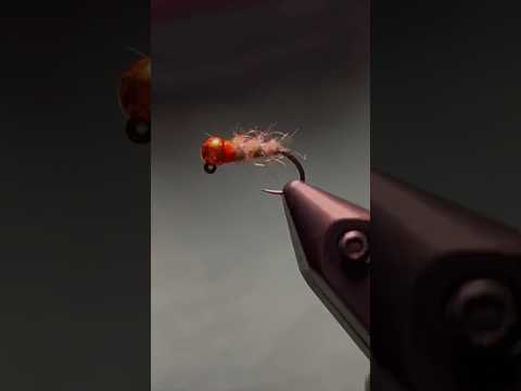 The Sexy Walt’s Worm is a deadly fly pattern! #flyfishing #flytying #trout #orvisflyfishing #shorts