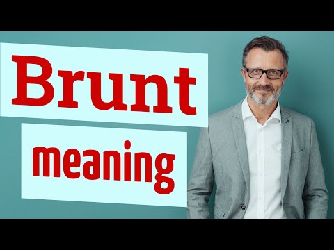 Brunt | Definition of brunt