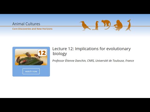 Animal Cultures : Lecture 12 : Implications for evolutionary biology