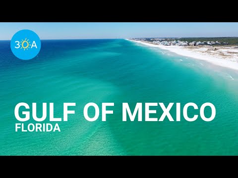 The Gulf of Mexico