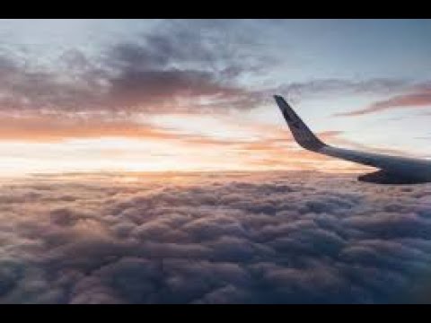 AIESEC EXCHANGE | GLOBAL VOLUNTEER | POLAND |