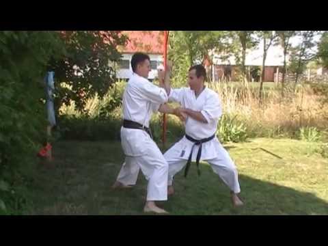 Saifa Kihon Bunkai Based Taira Masaji Sensei – Posted 6 January 2025 ...