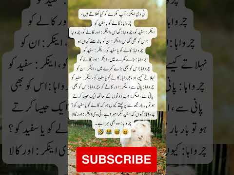 Anchor and shepherd | interesting facts | funny quotes | joke in Urdu