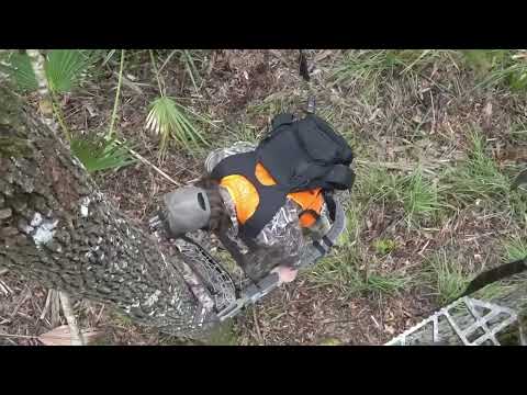 Climbing with a Summit tree stand and Hazmore Seat
