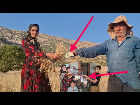 The Hope Hut: The Story of a Brave Mother