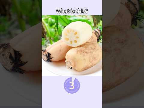 How to say lotus root, water chestnut, taro, stem lettuce, fish mint etc. in Chinese?
