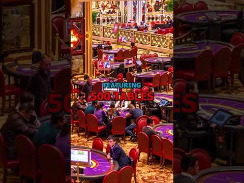 Top 5 Most Luxurious Casinos 2024