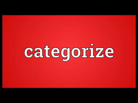 Categorize Meaning
