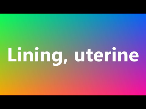 Lining, uterine - Medical Definition and Pronunciation
